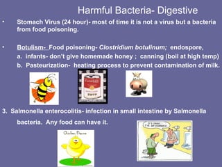 Bacteria three | PPT
