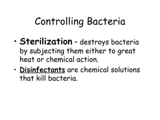 Bacteria two | PPT