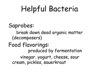 Bacteria two | PPT