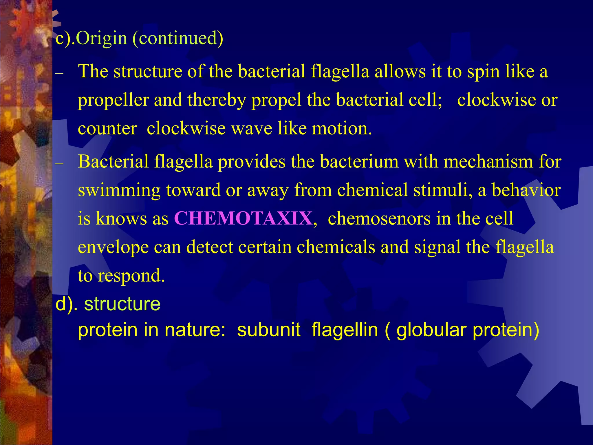 Bacteria Types.ppt