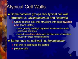 Bacteria Types.ppt