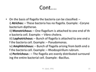 Bacteria (Unit-I)-1.pptx