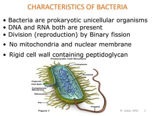 Bacteria (Unit-I)-1.pptx