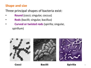Bacteria (Unit-I)-1.pptx