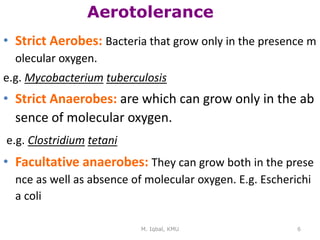 Bacteria (Unit-I)-1.pptx