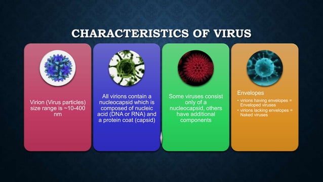 Bacteria & Virus | PPTX