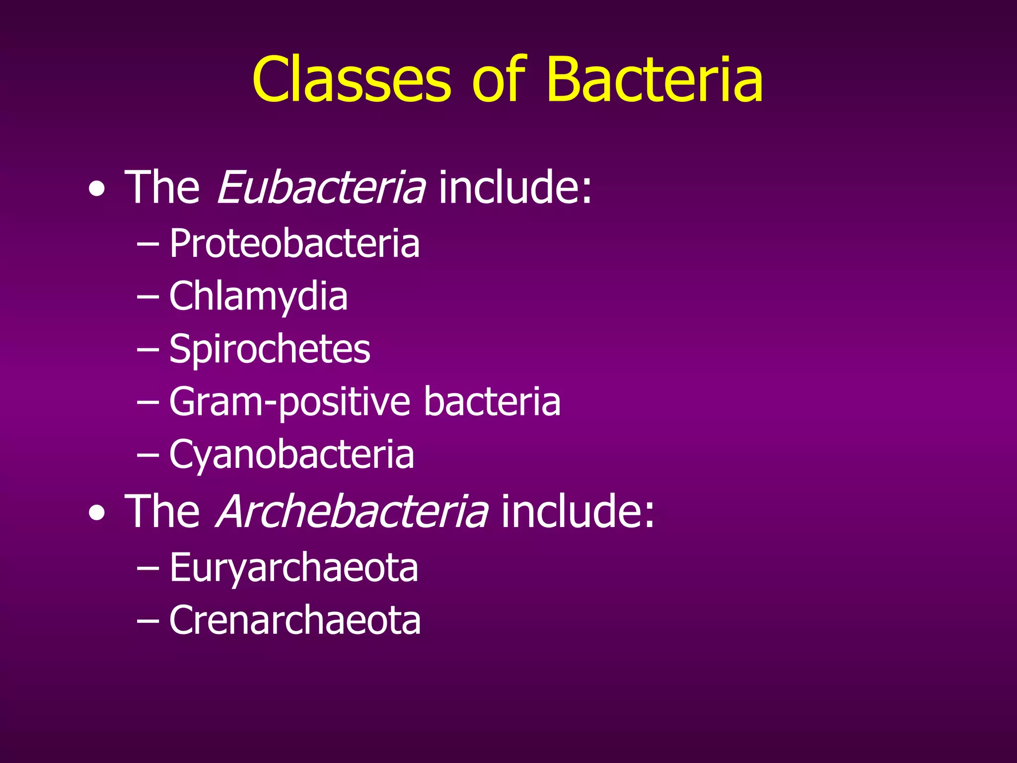Bacteria & Viruses | PPT
