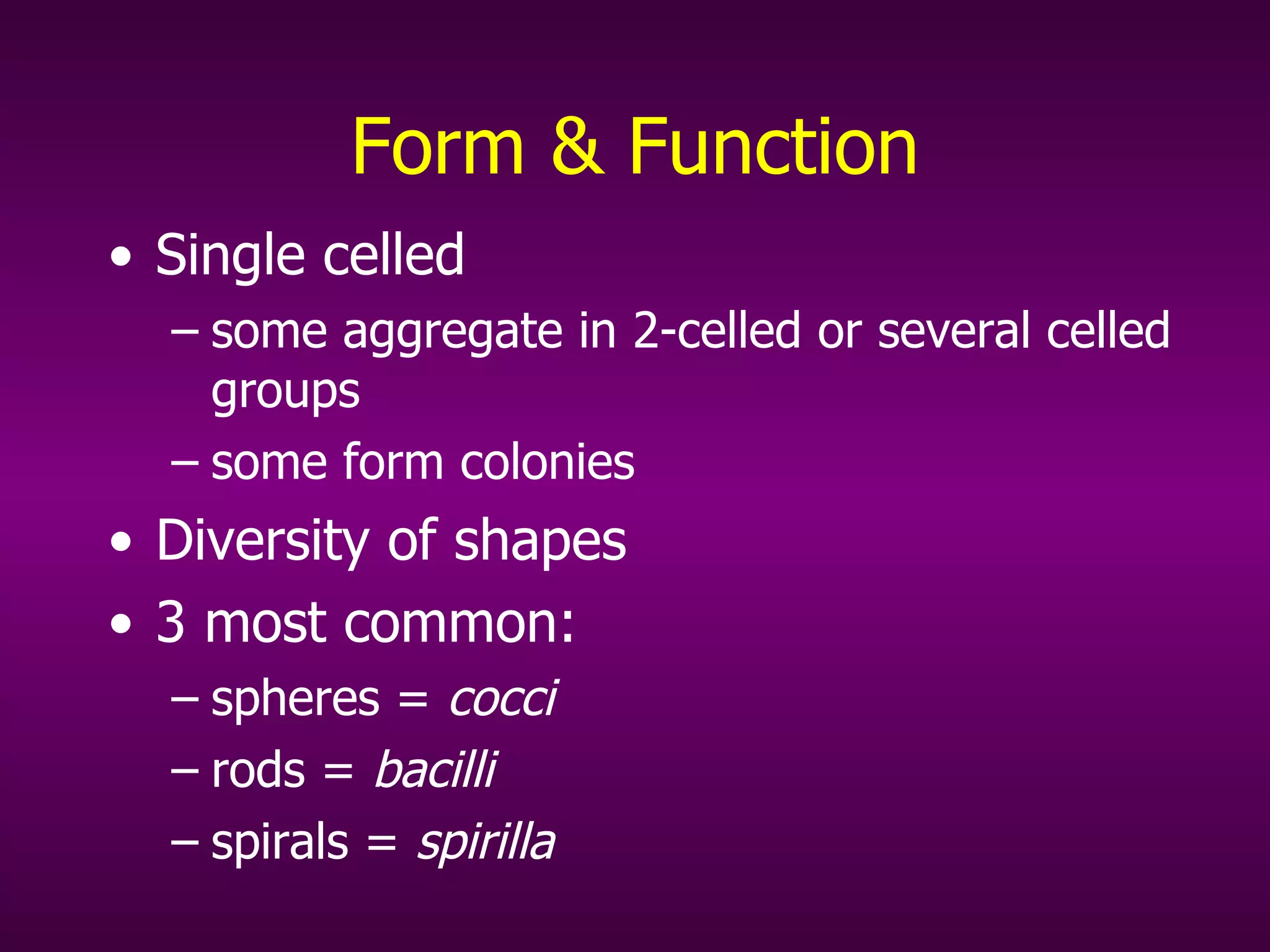 Bacteria & Viruses | PPT