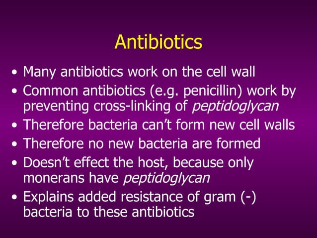 Bacteria & Viruses | PPT | Biological Sciences | Science