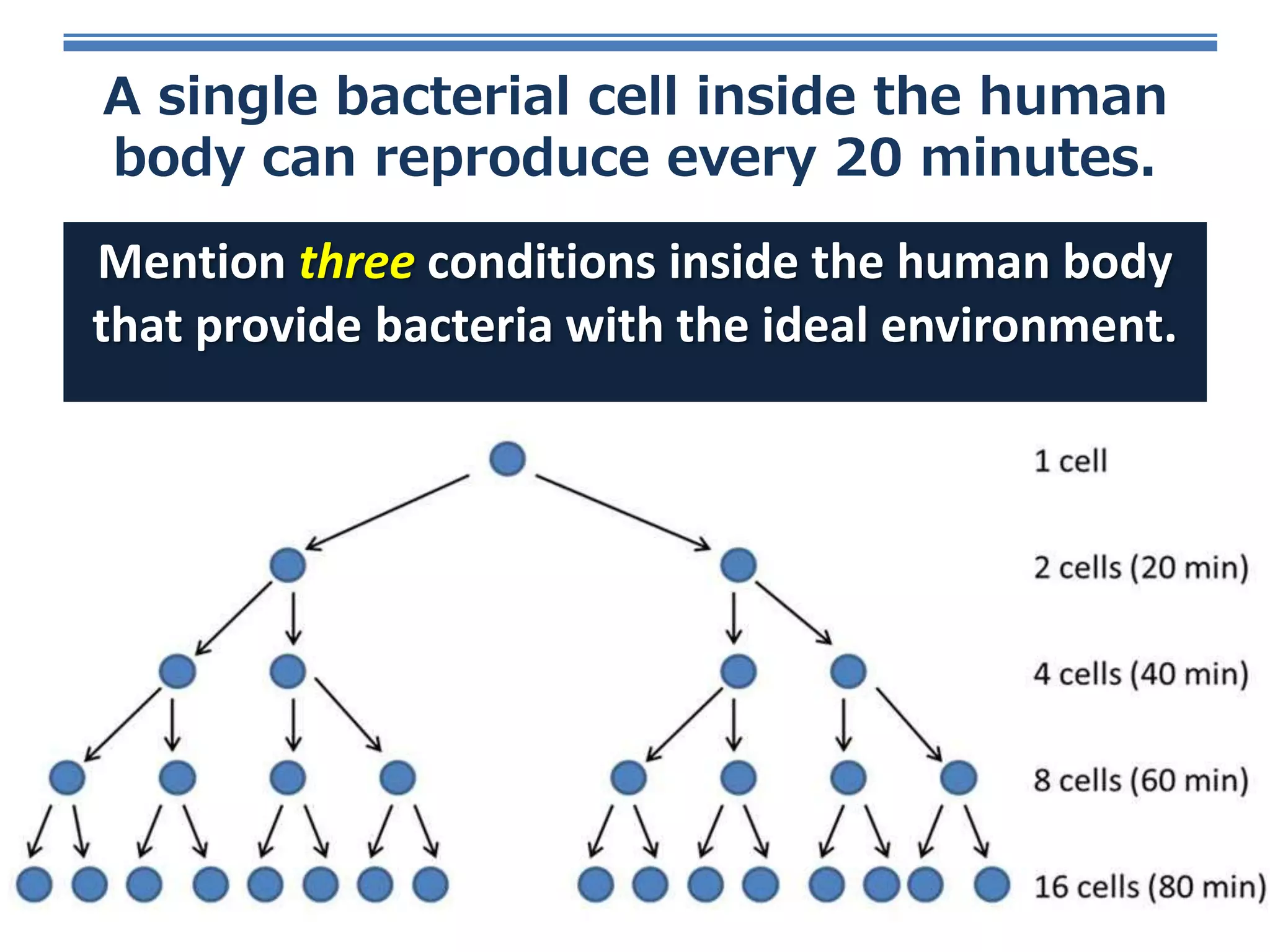 Bacteria & viruses | PPTX