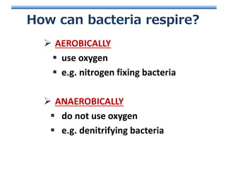 Bacteria & viruses | PPTX