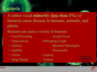 bacteria_viruses ellam videovumnamaste .ppt