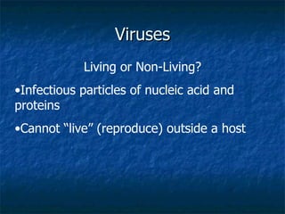Bacteria Viruses09martin | PPT