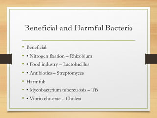 Bacteria, Virus ,Fungi, structure, classification | PPTX