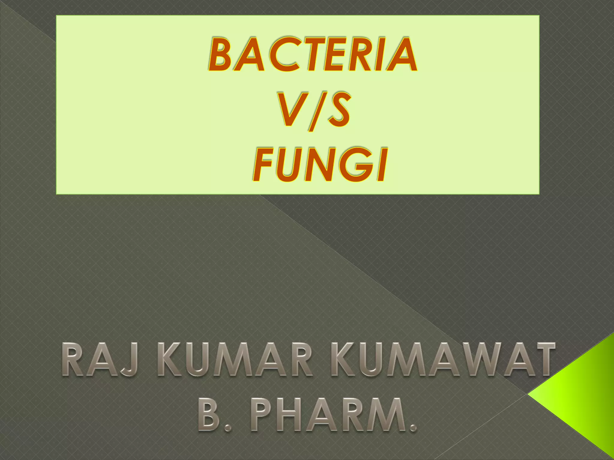 Bacteria versus fungi, Difference between bacteria and fungi | PDF