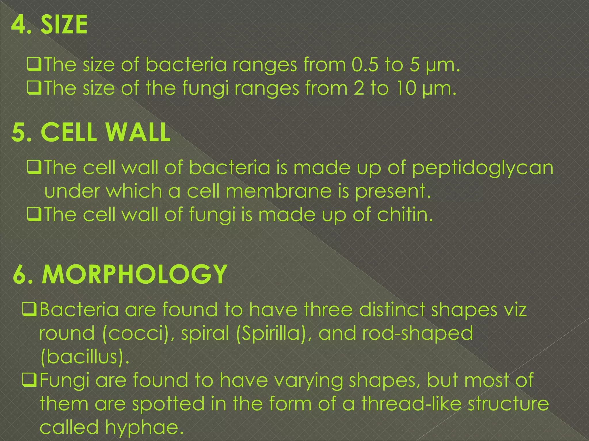 Bacteria versus fungi, Difference between bacteria and fungi | PDF