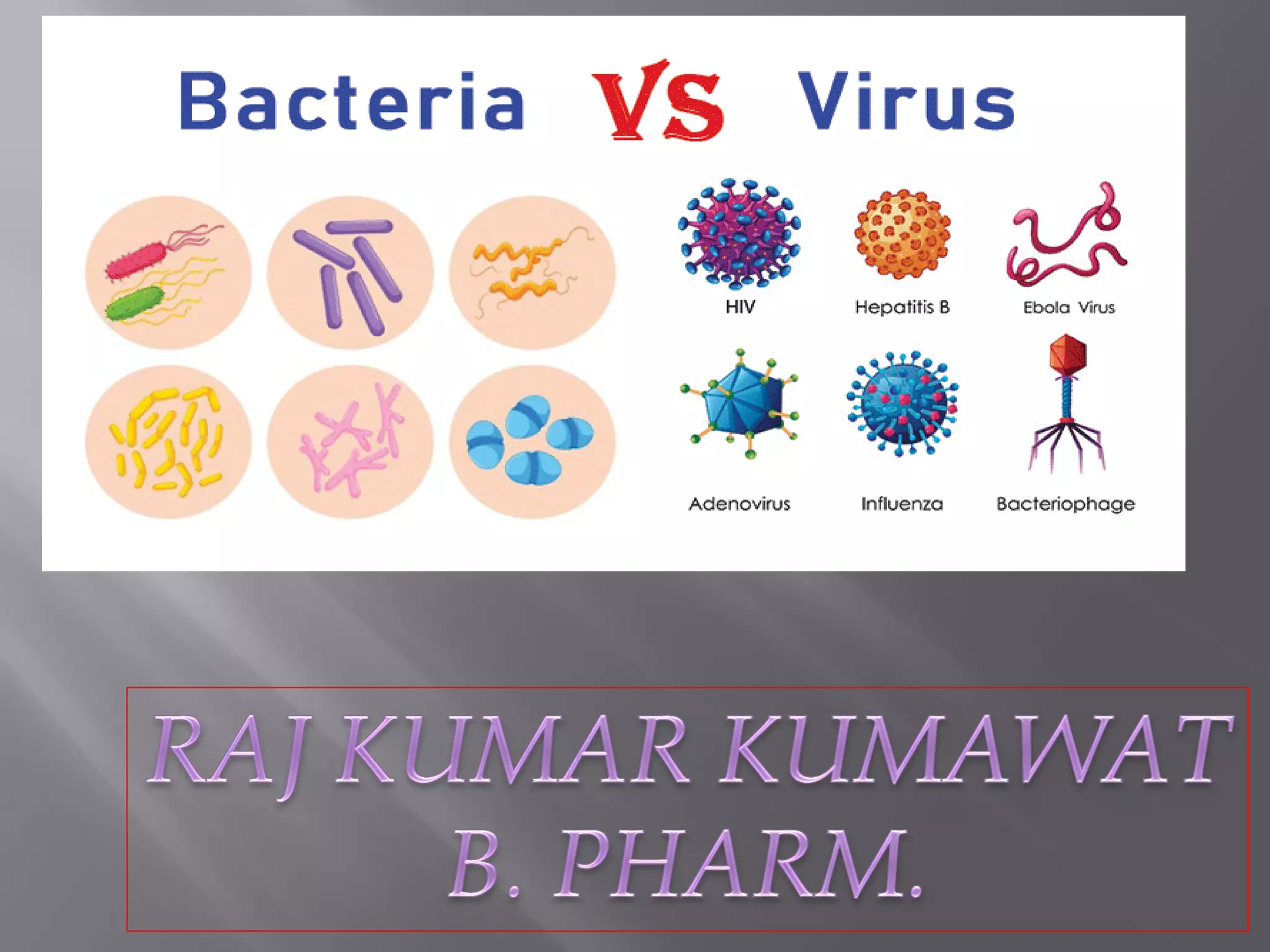 Bacteria versus virus, Difference between bacteria and virus | PDF
