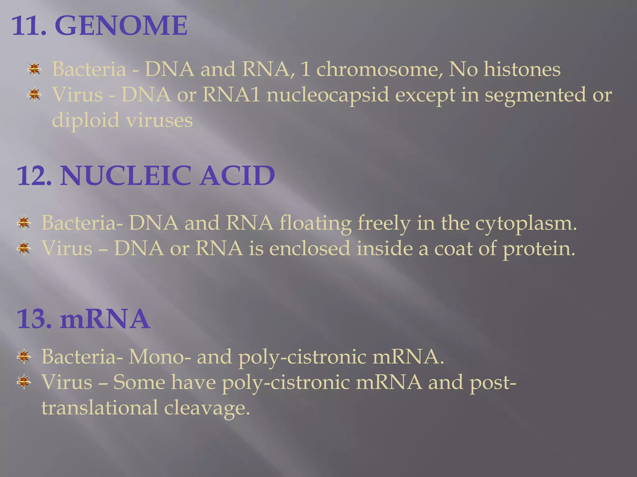 Bacteria versus virus, Difference between bacteria and virus | PDF
