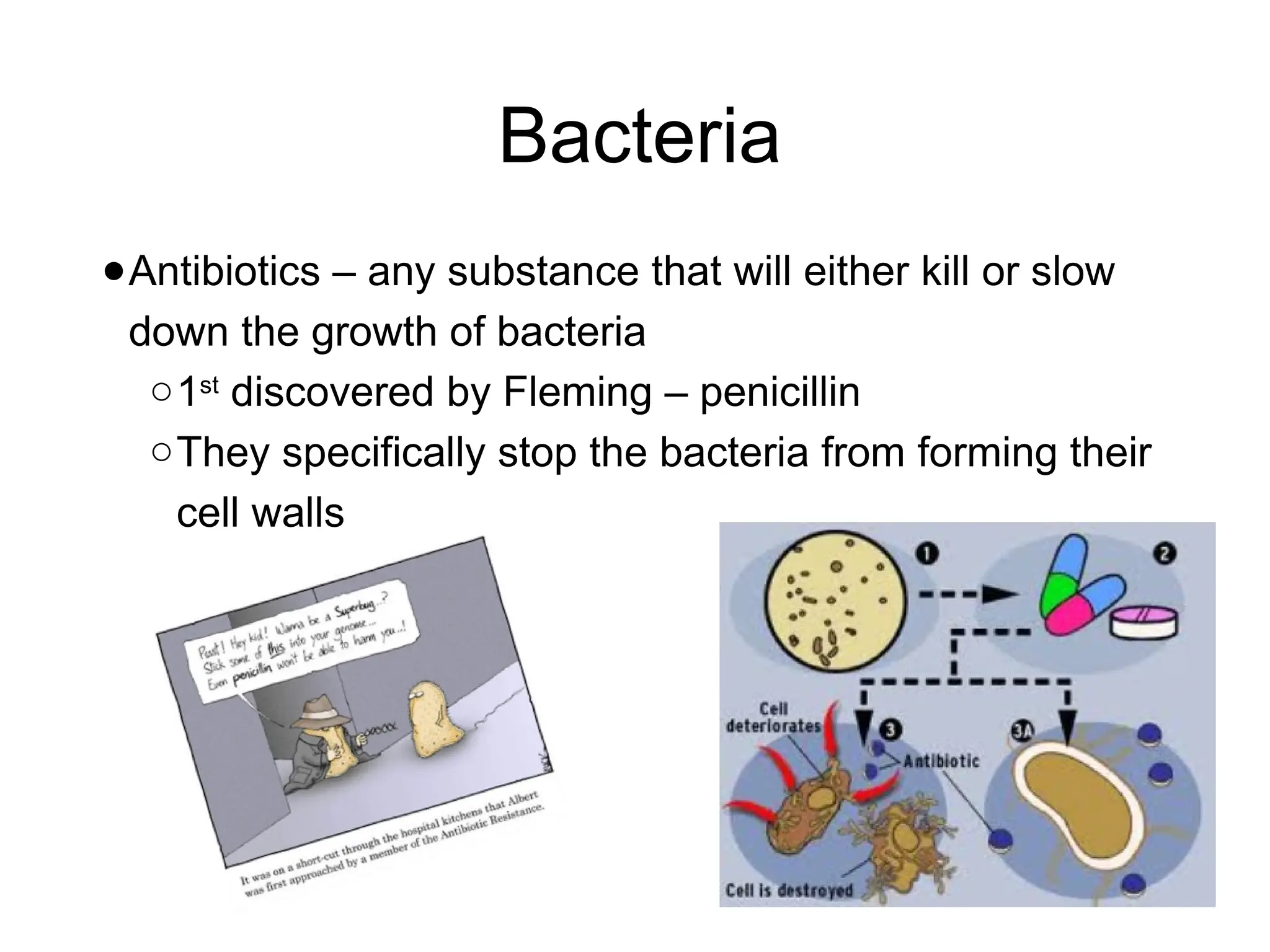 Bacteria vs Virus PPT.pptx microbiology. | PPTX