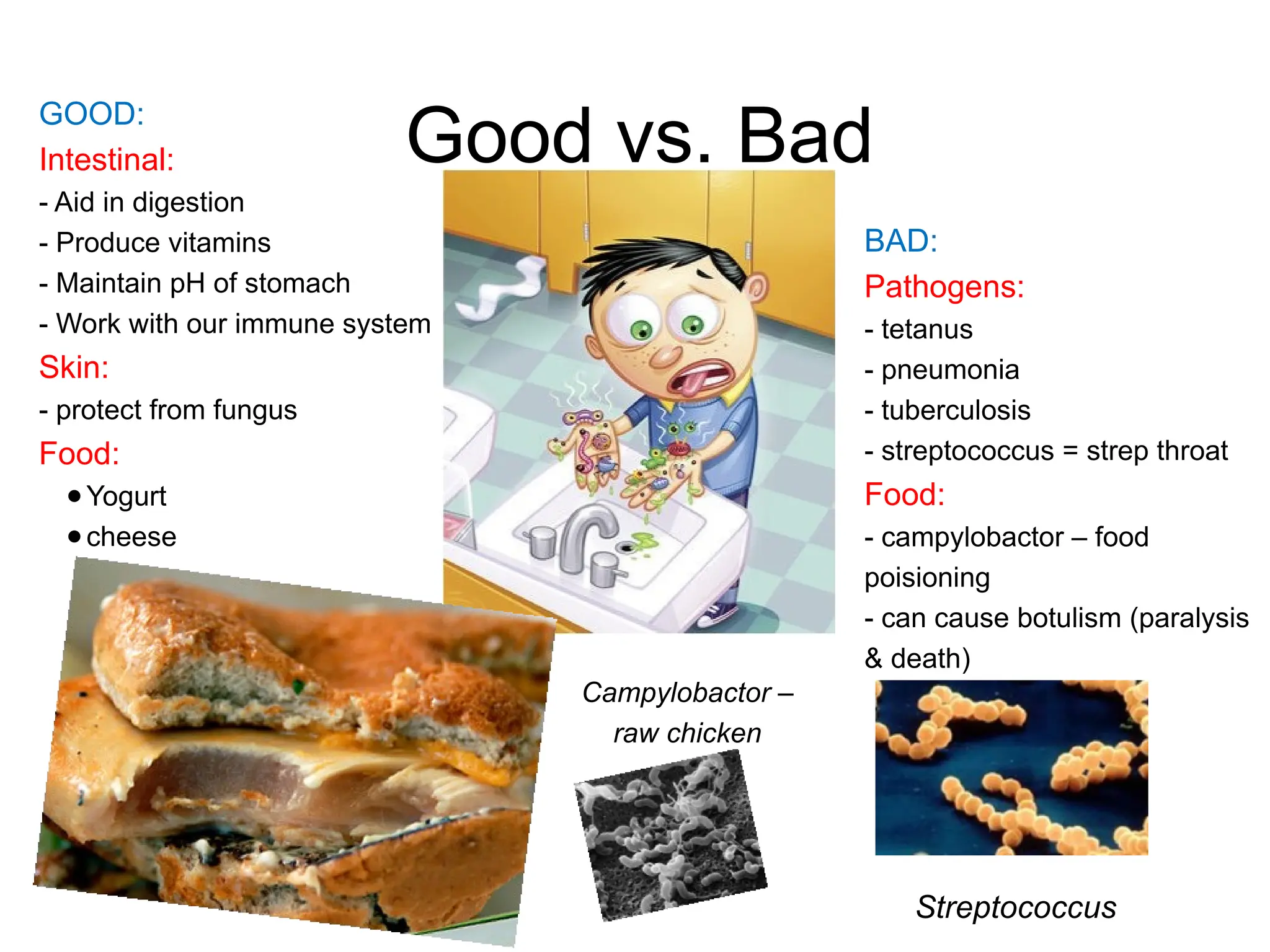 Bacteria vs Virus PPT.pptx microbiology. | PPTX