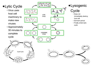 Bacteria vs Virus PPT.pptx microbiology. | PPTX