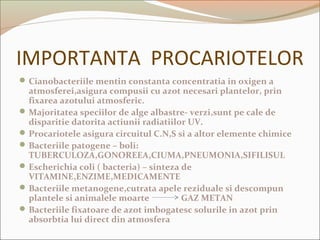 Bacterii | PPT