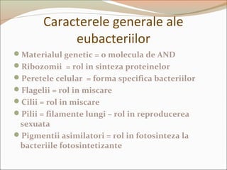 Bacterii | PPT