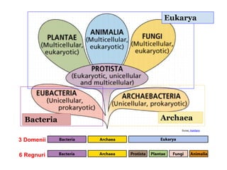 Bacterii și Arhebacterii.pdf