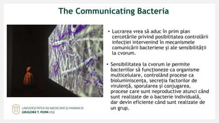 Bacterii la moda | PPT