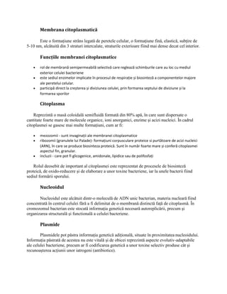 Bacteriile-referat | PDF