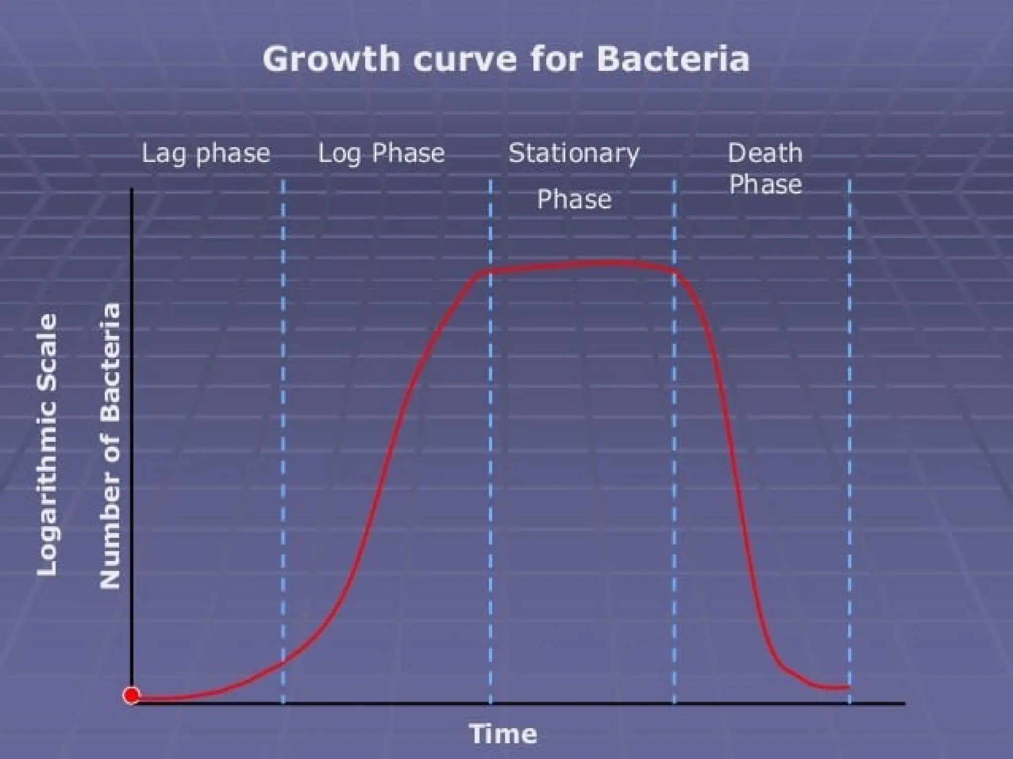 Bacteriology - growth curve-lag ,log , stationary, death phase | PPT