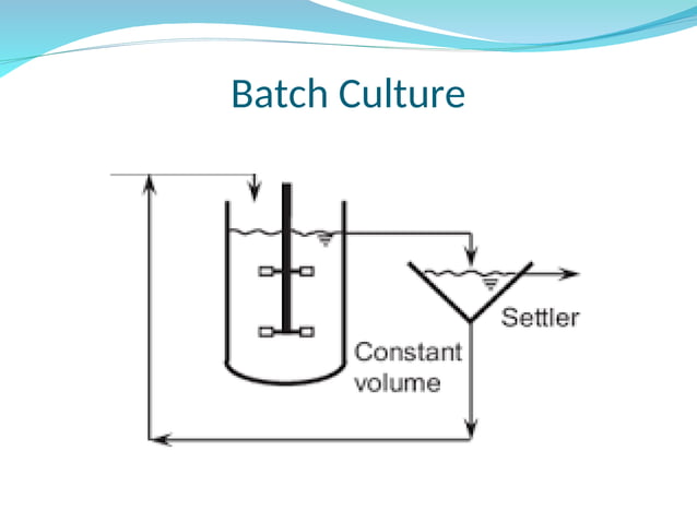 Bacteriology - growth curve-lag ,log , stationary, death phase | PPT