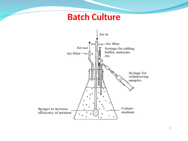 Bacteriology - growth curve-lag ,log , stationary, death phase | PPT