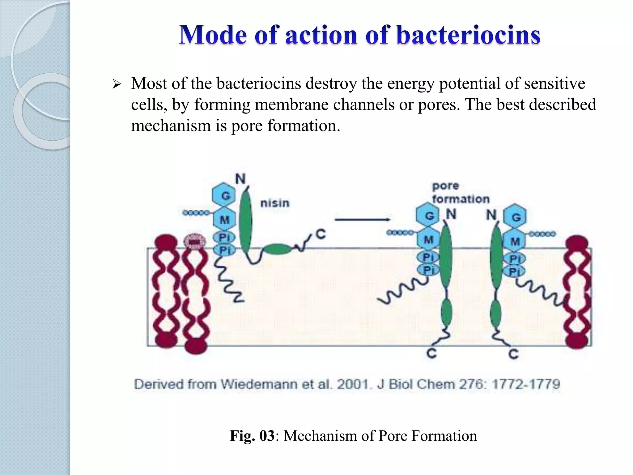 Bacteriocins | PPTX