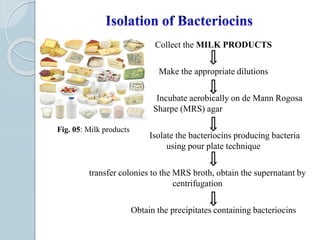 Bacteriocins | PPTX