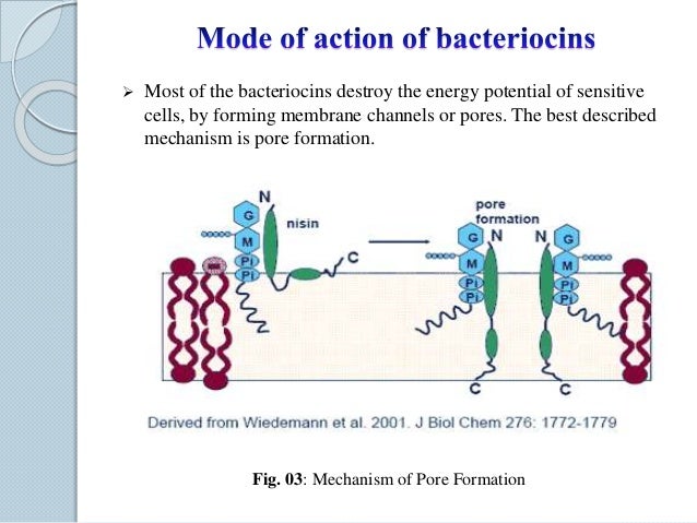 Bacteriocins