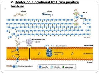 Bacteriocins - An alternative to antibiotics | PPTX