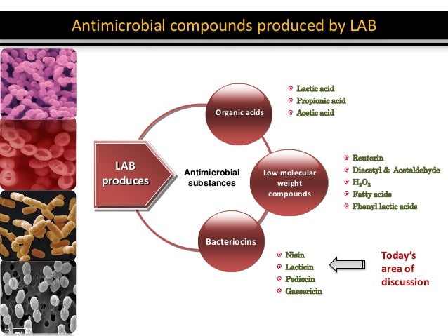 Bacteriocin based strategy for enhaced food safety