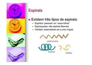 Bacteriologia: morfologia, estrutura celular | PDF