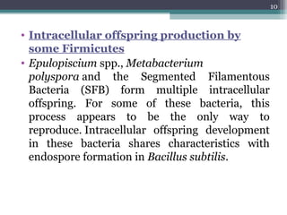 Bacteriological measurement and its physical characteristics | PPT