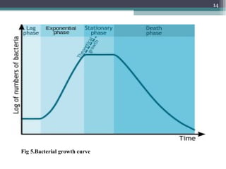 Bacteriological measurement and its physical characteristics | PPT