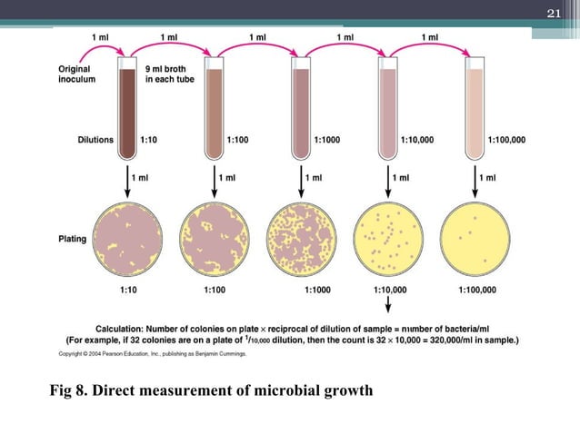 Bacteriological measurement and its physical characteristics | PPT
