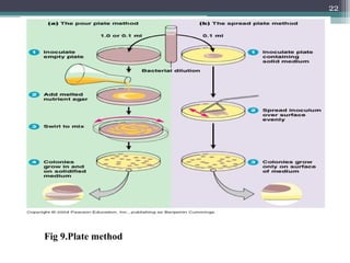 Bacteriological measurement and its physical characteristics | PPT