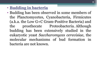 Bacteriological measurement and its physical characteristics | PPT