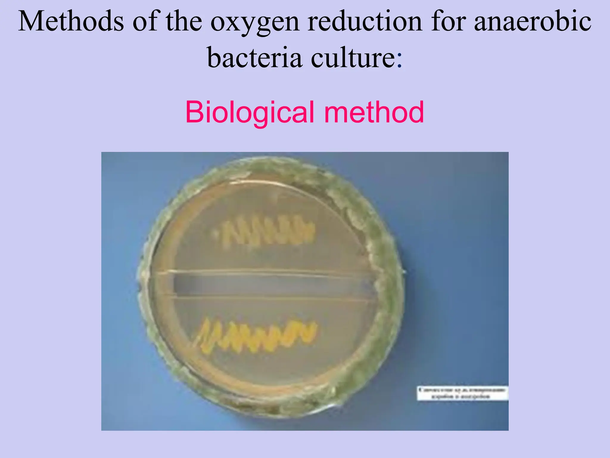 Bacteriological method — Anaerobic bacteria.pdf