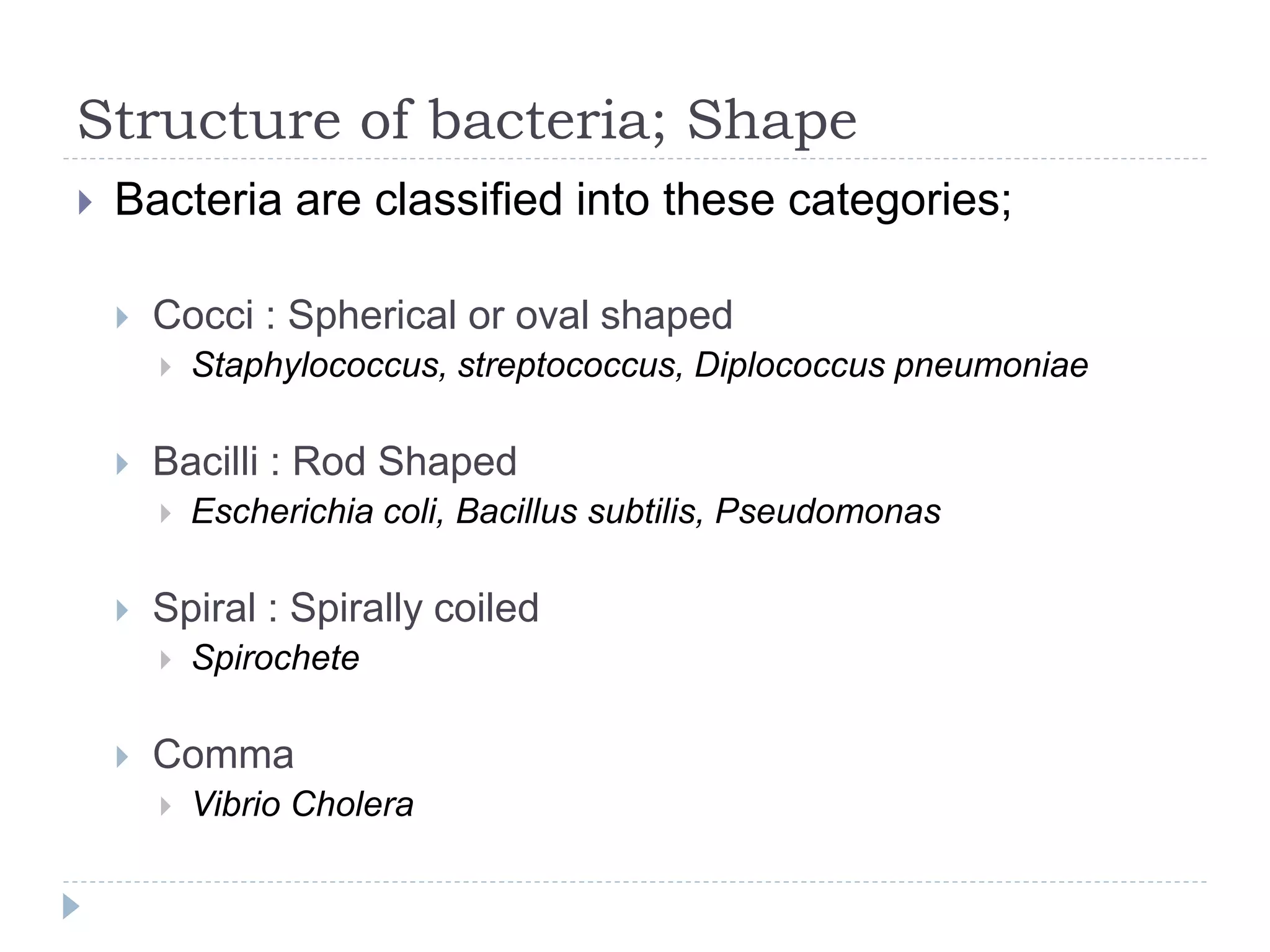 Introduction and Brief about Bacteriology, Bacterial Structure ...