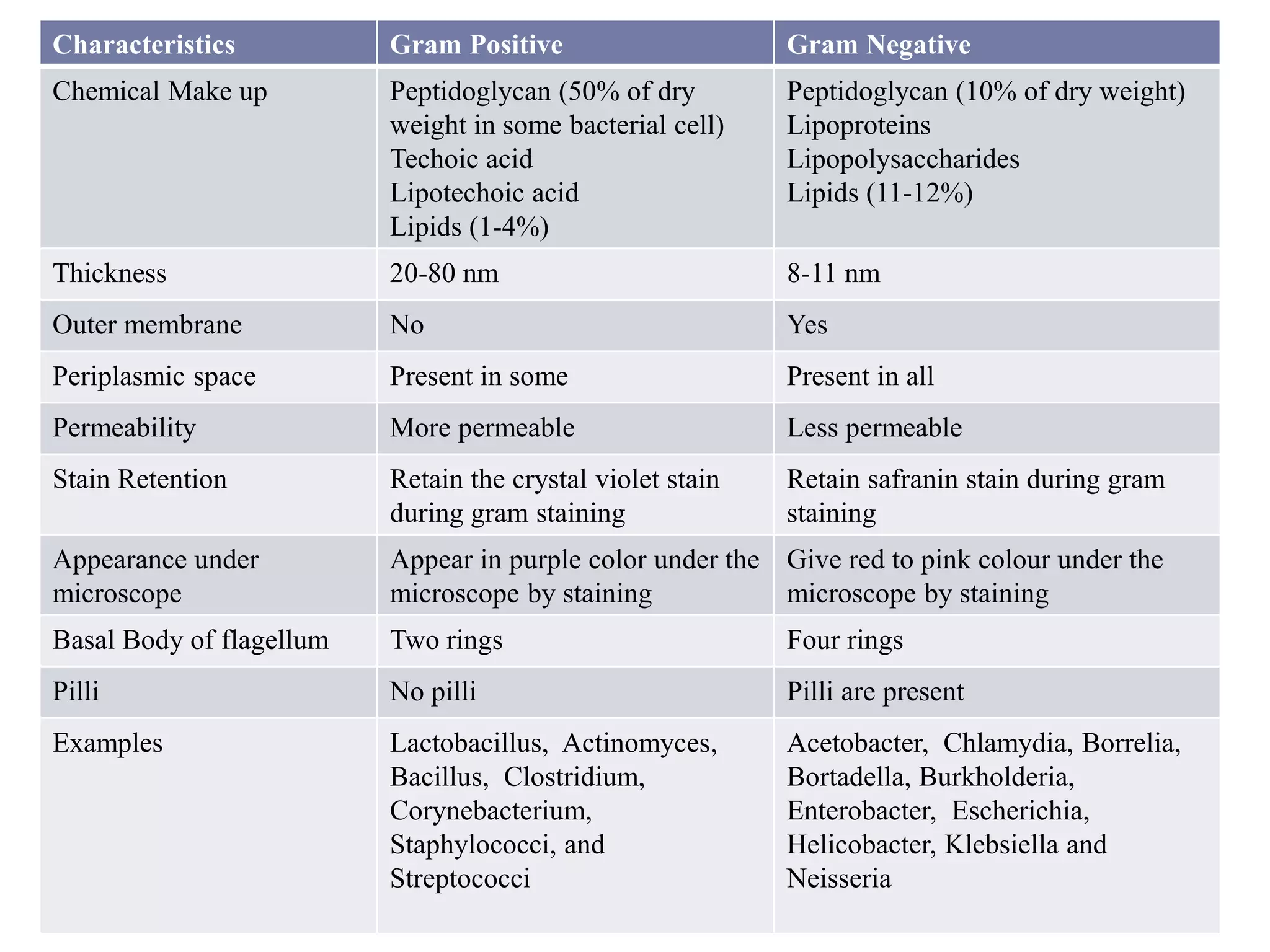 Introduction and Brief about Bacteriology, Bacterial Structure ...