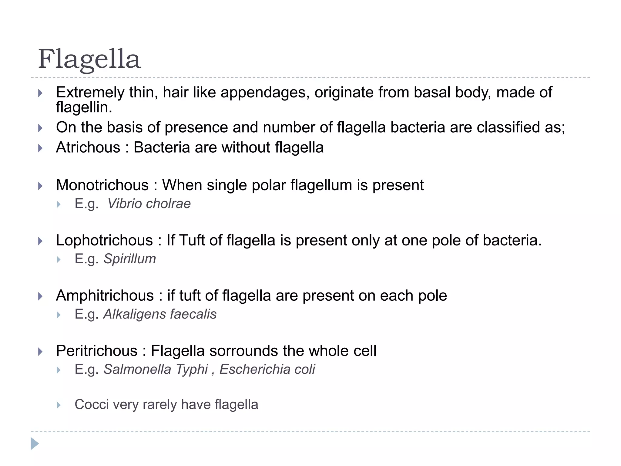 Introduction and Brief about Bacteriology, Bacterial Structure ...