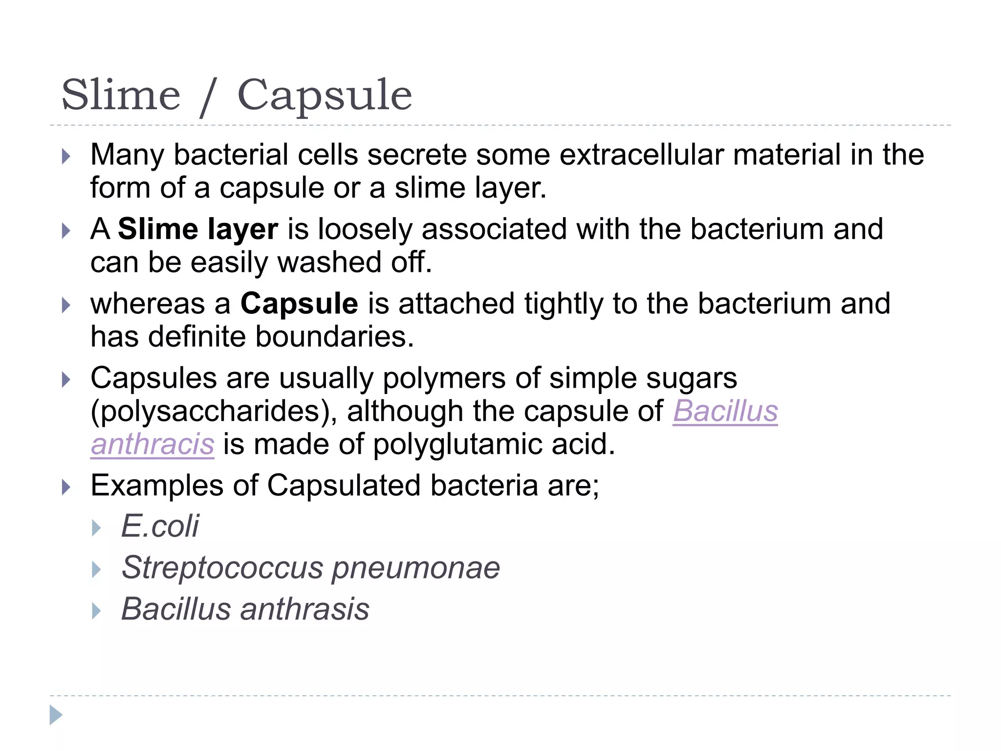 Introduction and Brief about Bacteriology, Bacterial Structure ...