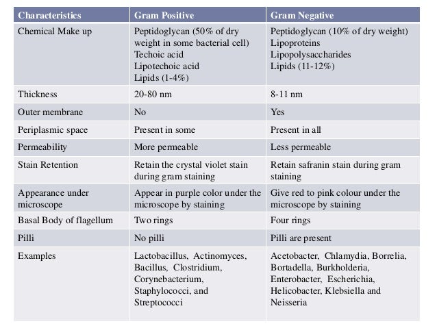 Characteristics of gram negative bacteria - qeryum